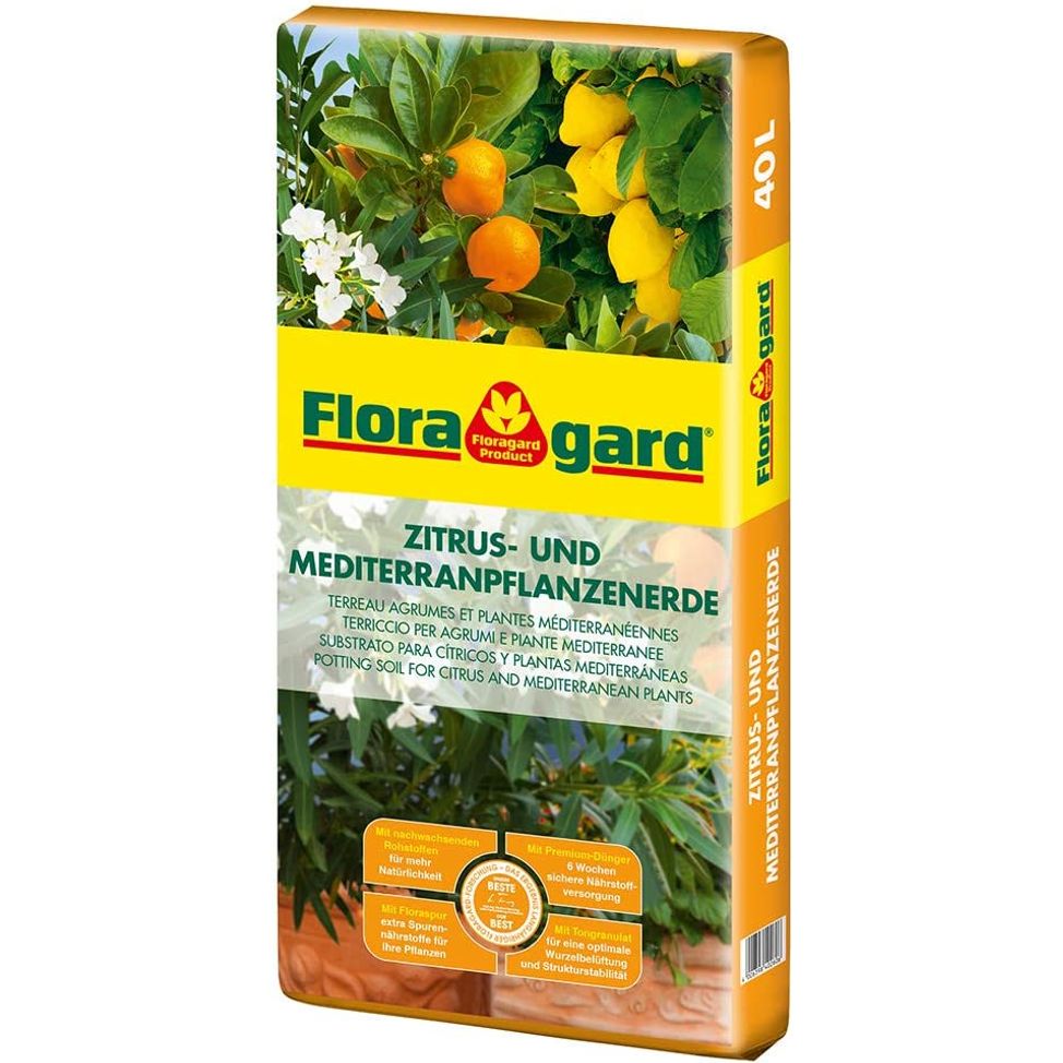 Floragard Zitruserde, Mediterranpflanzenerde 40L, Limettenerde, Zitron ...